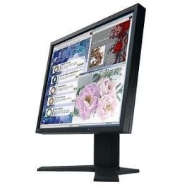 17-Inch EIZO FlexScan L568 17" Digital VGA DVI LCD TFT Monitor