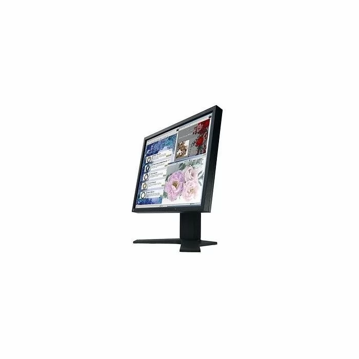 17-Inch EIZO FlexScan L568 17" Digital VGA DVI LCD TFT Monitor
