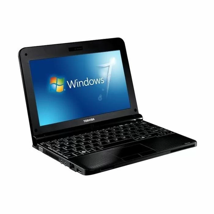 Toshiba NB250 108 10.1 Netbook 250GB WebCam WiFi Windows 7 Glossy Black